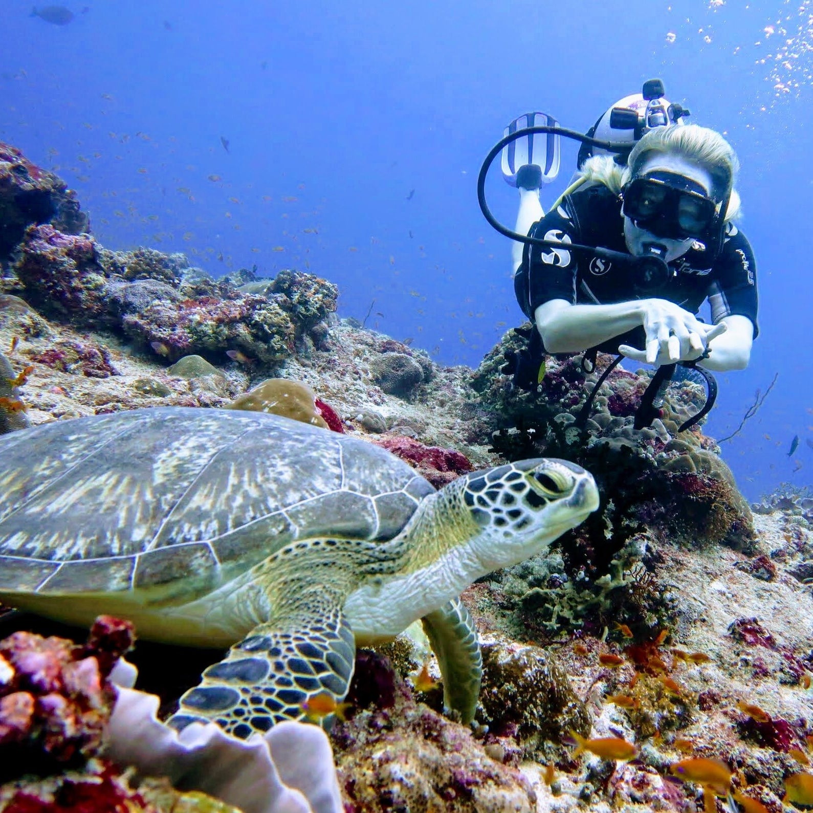 PADI Open Water Diver Certified Course Maldives - Open Water Diver ...